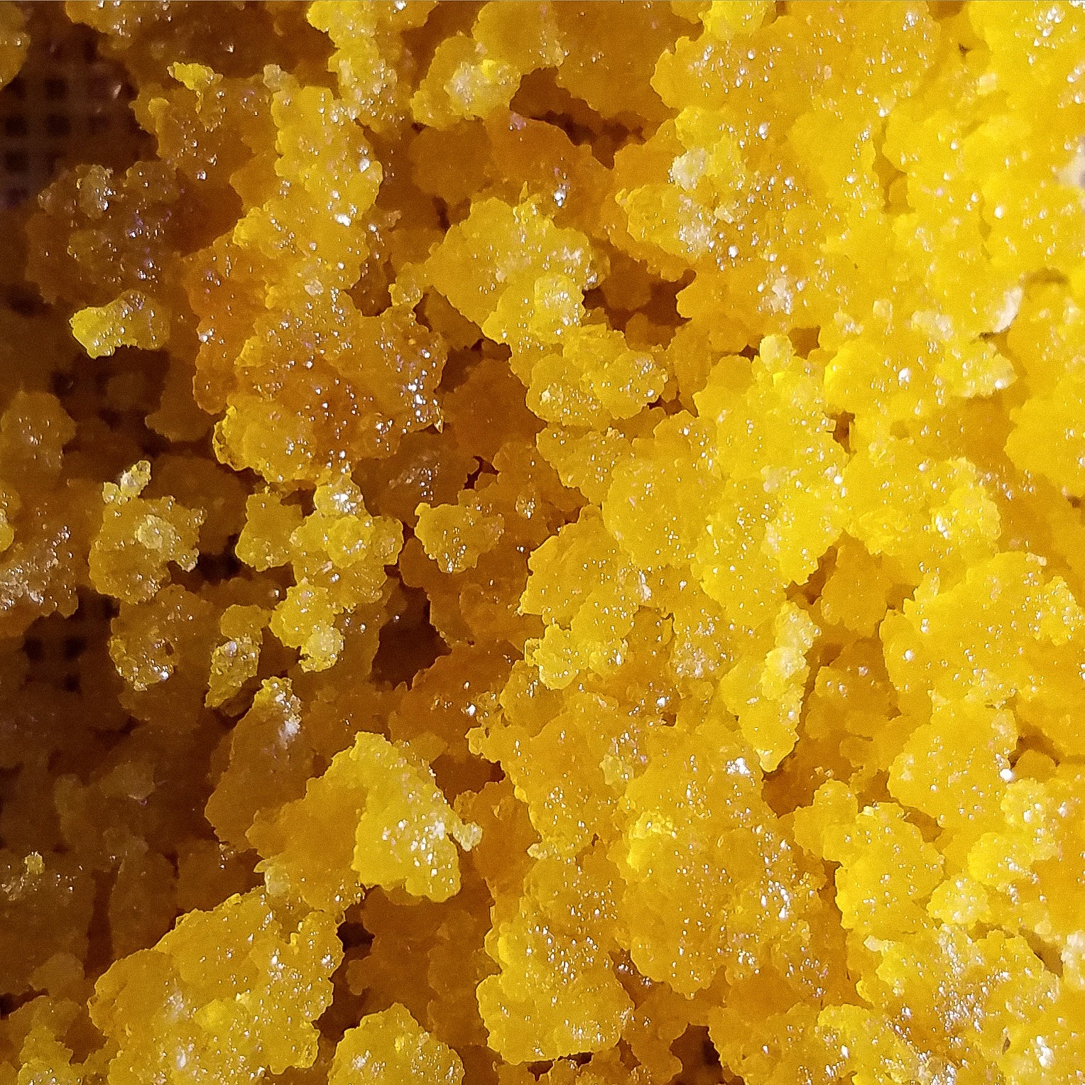 Sun Extractions - NJ’s Artisanal Hydrocarbon Extraction Specialists